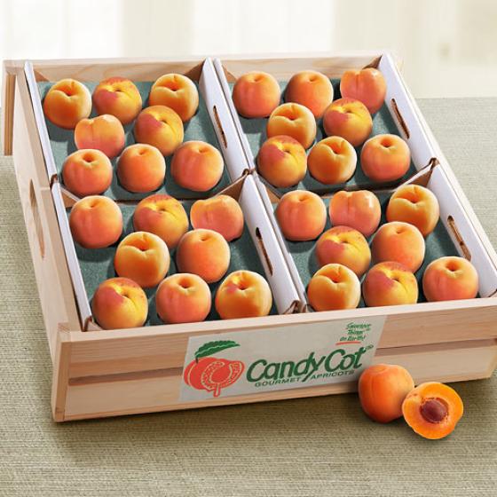 Candy Cot Apricots Crate - 32 ct. - AC2004 | A Gift Inside