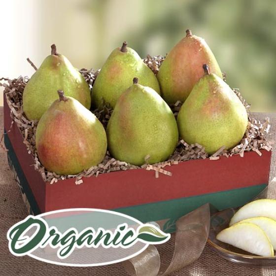 Organic D'Anjou Pears Fruit Gift - RB0003 | A Gift Inside