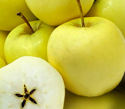 DeLite Monthly Fruit Club - Free Shipping - A Gift Inside