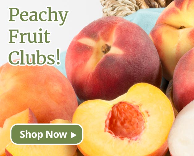 Fruit Basket Gifts and Monthly Fruit Clubs by A Gift Inside