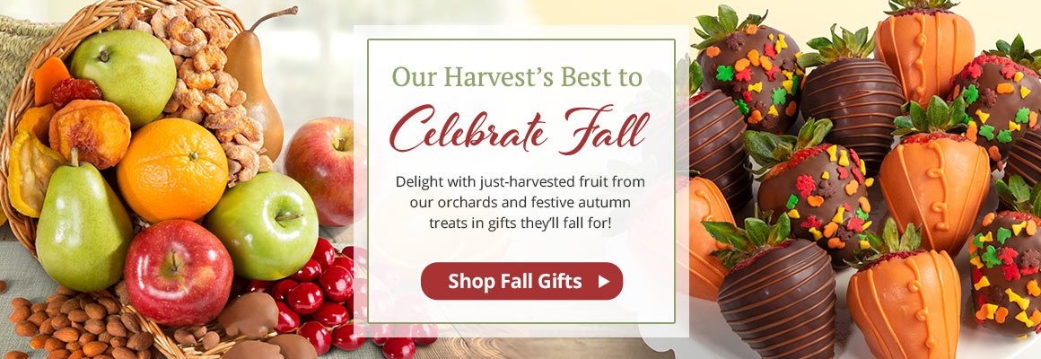 Gift Baskets, Fruit, Gourmet, Chocolate and Corporate Gifts, Monthly ...